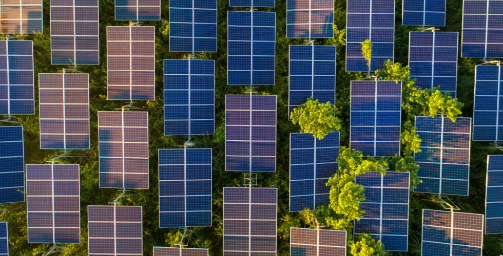 Case Study: Rappahannock Electric Cooperative streamlines solar program ...